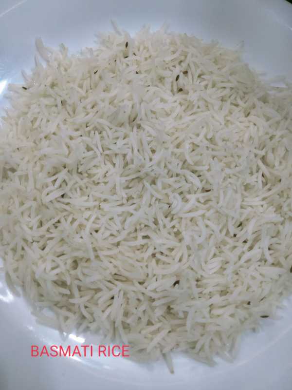 Mr. Taste Halal Food حلال menu in Subic Bay Freeport |ordermo