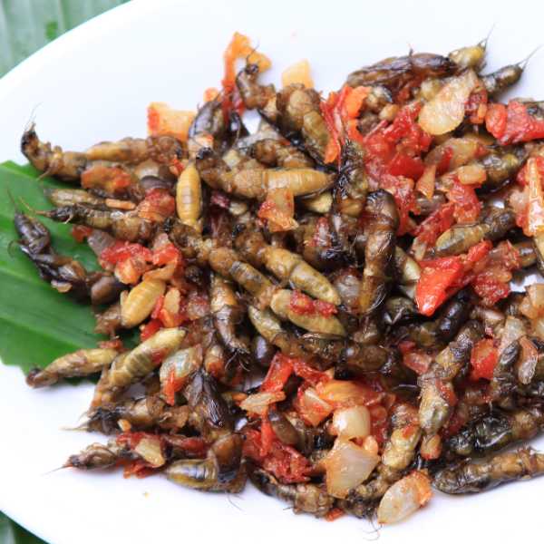 Apag Marangle menu in Guagua | ordermo