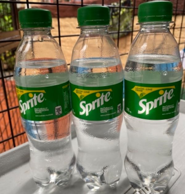 Pares by Coach Nald menu in Baliwag | Express Food Delivery - ordermo.ph