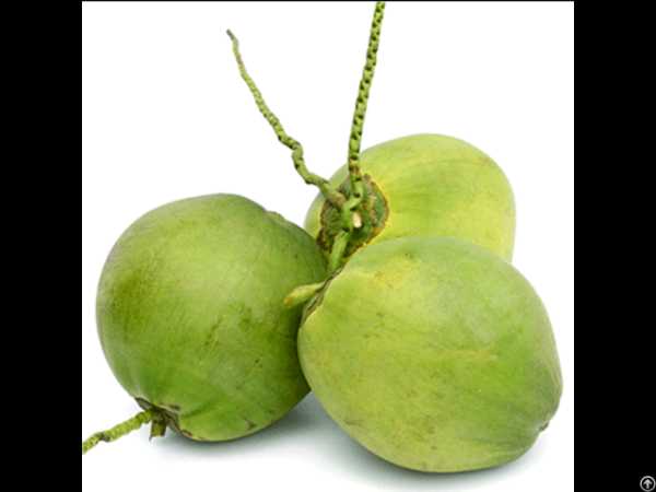 RJ and Zabs Pure and Fresh Buko Juice menu in Marilao | ordermo